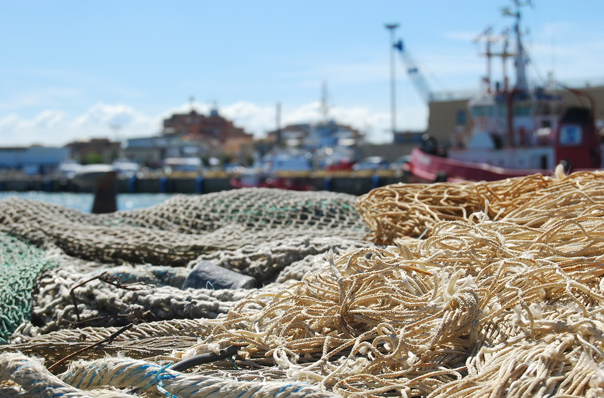 Oceanic | Pesquería | Producción | Distribución | Comercialización ...